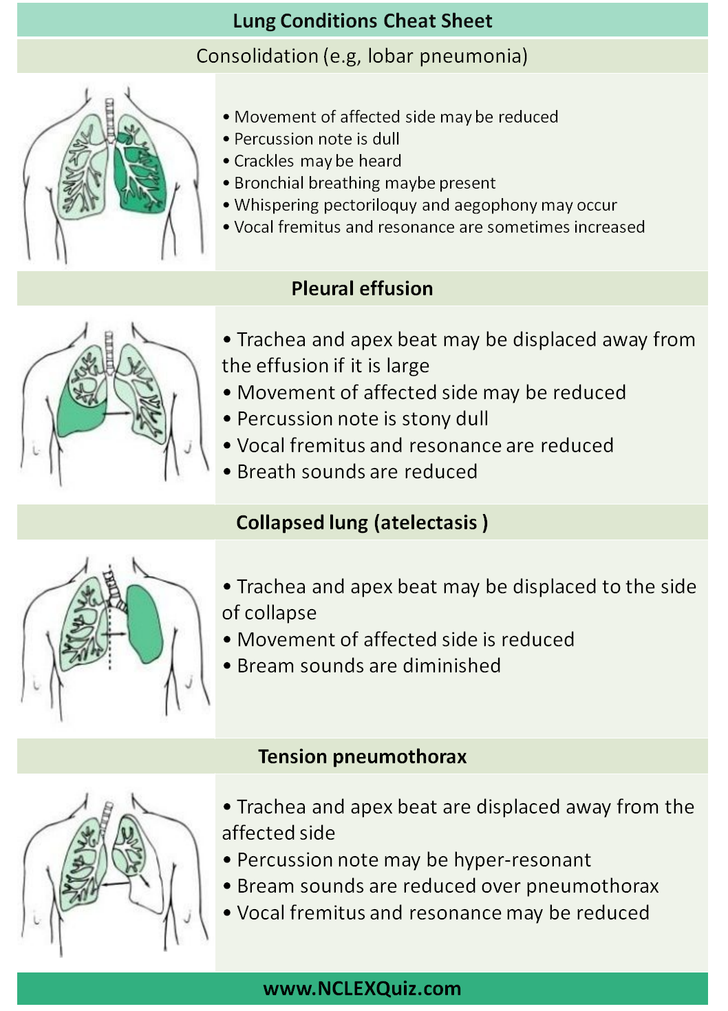 Examination Of Respiratory System Cheat Sheet NCLEX Quiz Examination Of Respiratory System Cheat Sheet NCLEX Quiz