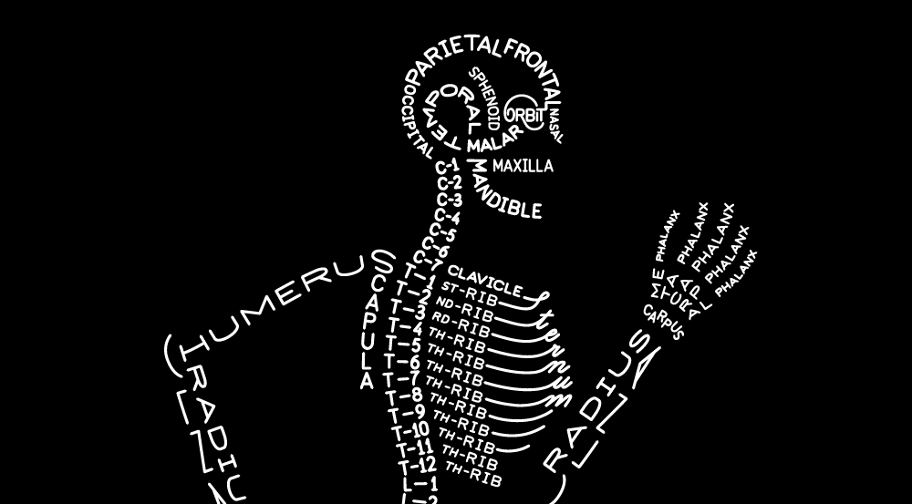 How To Memorize All Bone In The Human Body Easily NCLEX Quiz