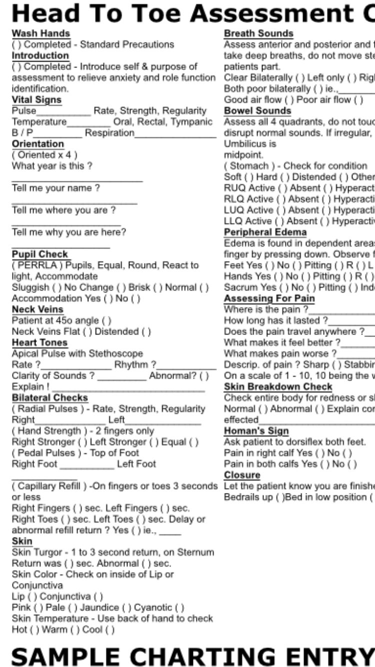 Nursing Student Head To Toe Assessment Sheet Sample Charting 