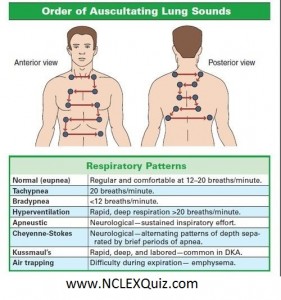 Order of Auscultating Lung Sounds - NCLEX Quiz