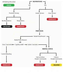START Triage Flowchart (Adult) - NCLEX Quiz