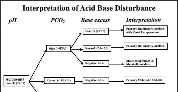 Interpretation of Acid Base Disturbances Cheat Sheet - NCLEX Quiz