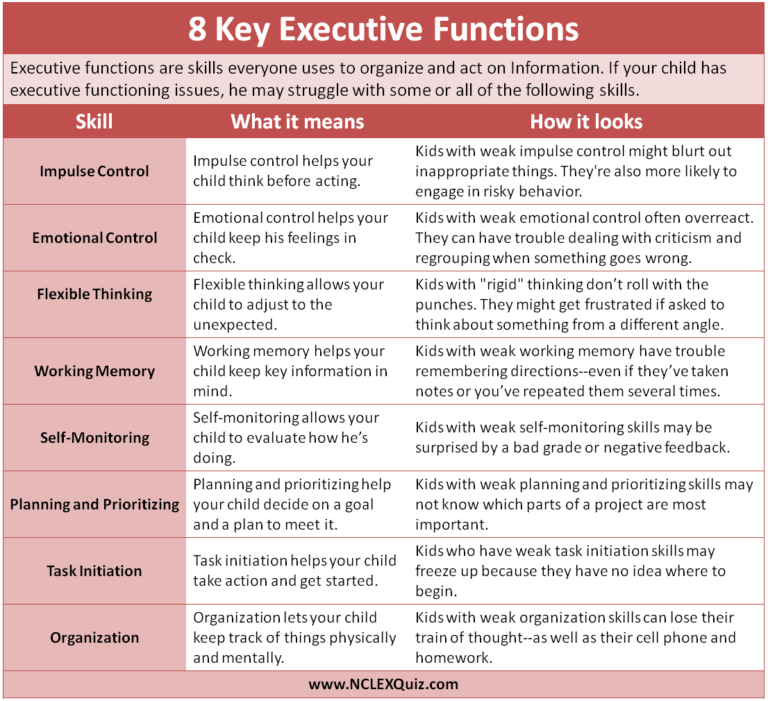 Executive Function Skills Cheat Sheet (Updated) - NCLEX Quiz