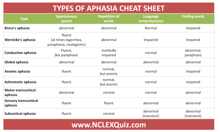 Clear Description of Aphasia Types Cheat Sheet - NCLEX Quiz