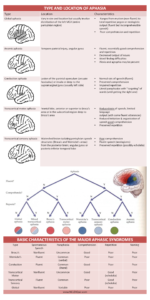 Type, Location & Basic Characteristics of Aphasia Cheat Sheet - NCLEX Quiz