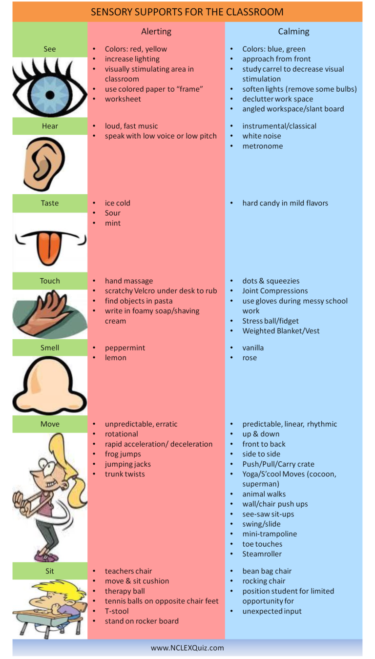 Sensory Supports for the Classroom FREEBIE - NCLEX Quiz