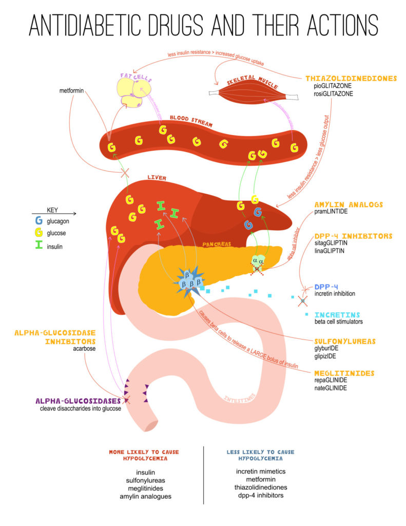 Antidiabetic Drugs and Their Actions - NCLEX Quiz