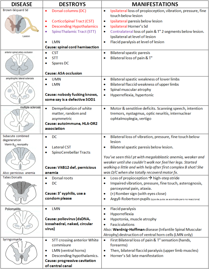 Spinal Card Lesion Cheat Sheet - NCLEX Quiz