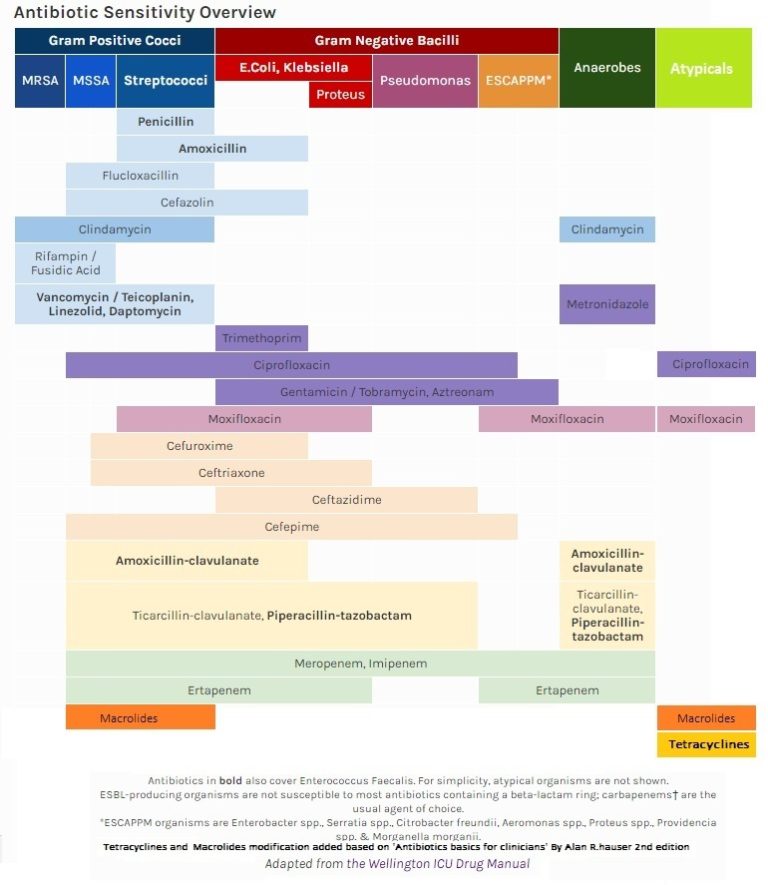 Antibiotic Sensitivity Overview Cheat Sheet - NCLEX Quiz