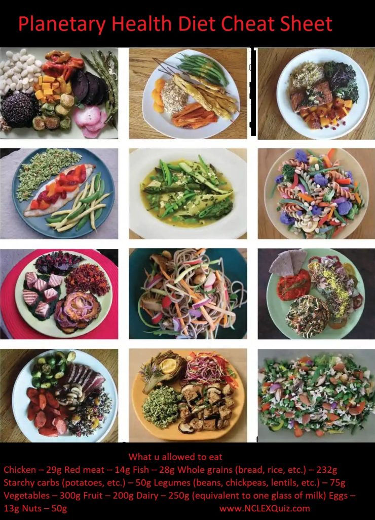 Planetary Health Diet Cheat Sheet - What you can eat daily under the ...