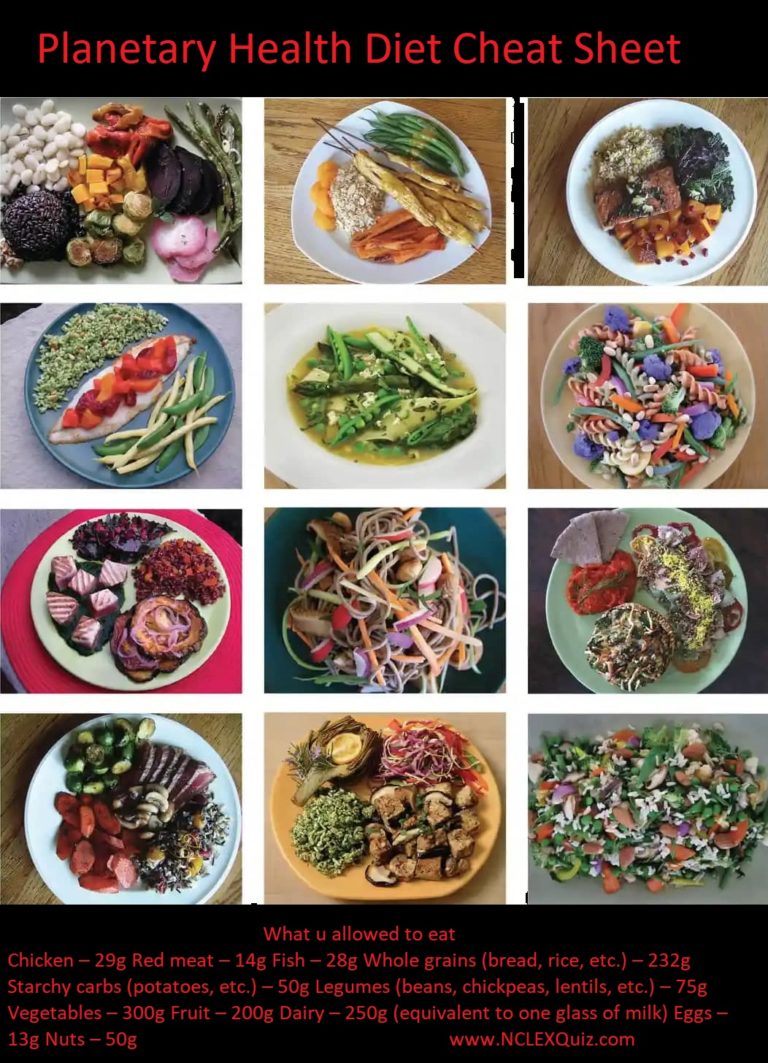 Planetary Health Diet Cheat Sheet - What you can eat daily under the ...