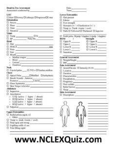 Nursing Student Head to Toe Assessment Cheat Sheet Sample Charting ...