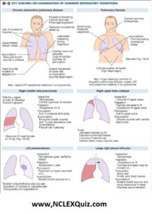 Common Respiratory Conditions + a FREE Cheat Sheet! - NCLEX Quiz