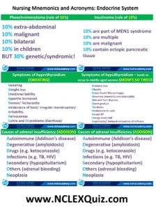 Nursing Mnemonics and Acronyms: Endocrine System - NCLEX Quiz