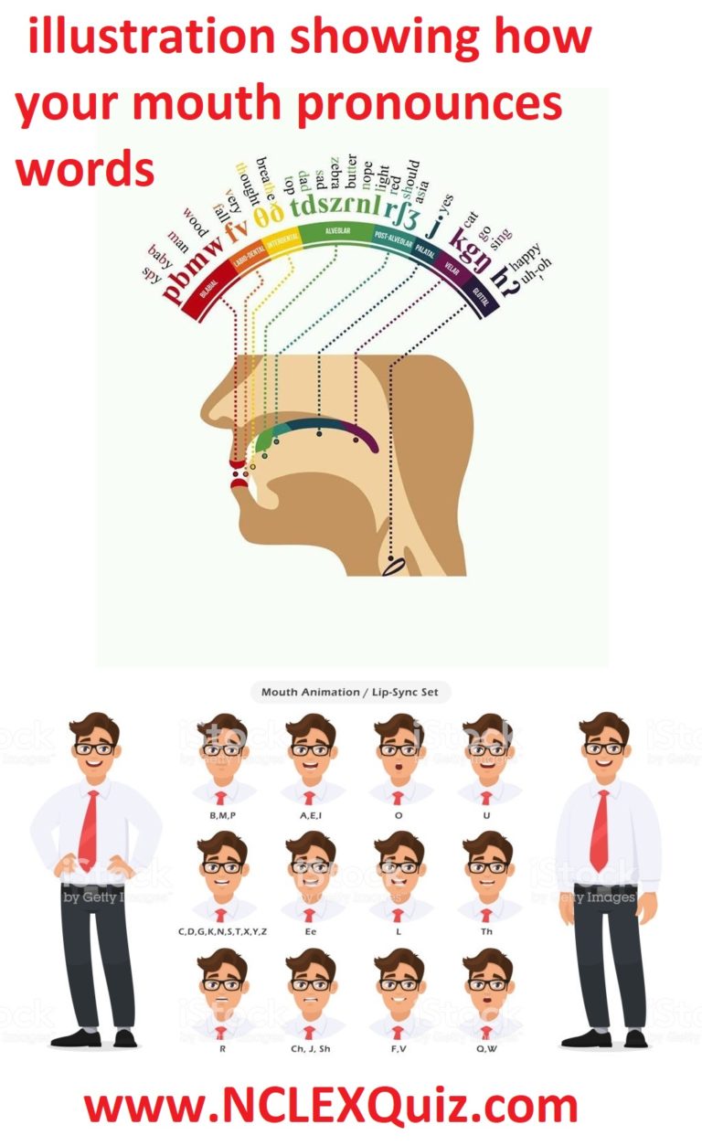 Illustration Showing How Our Mouth Pronounces Different Words & Sounds ...