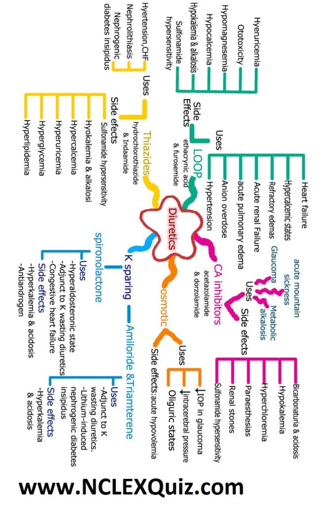 Types of Diuretics Drugs and Mechanism of Action Cheat Sheet - NCLEX Quiz